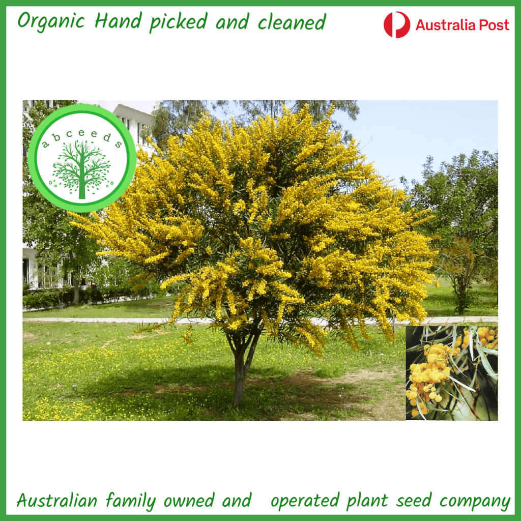 Australian Native Tree and Shrub Seed Shop
