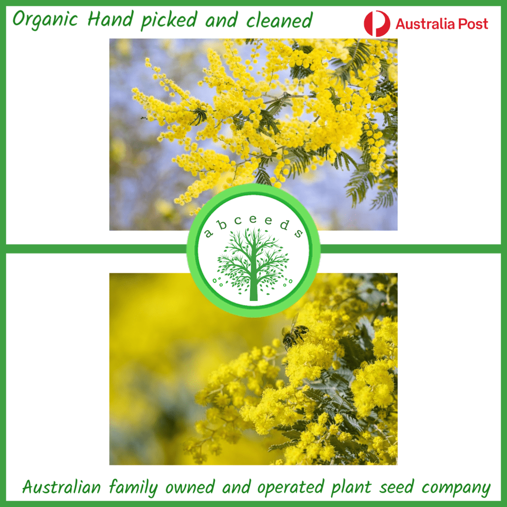 Australian Native Tree and Shrub Seed Shop
